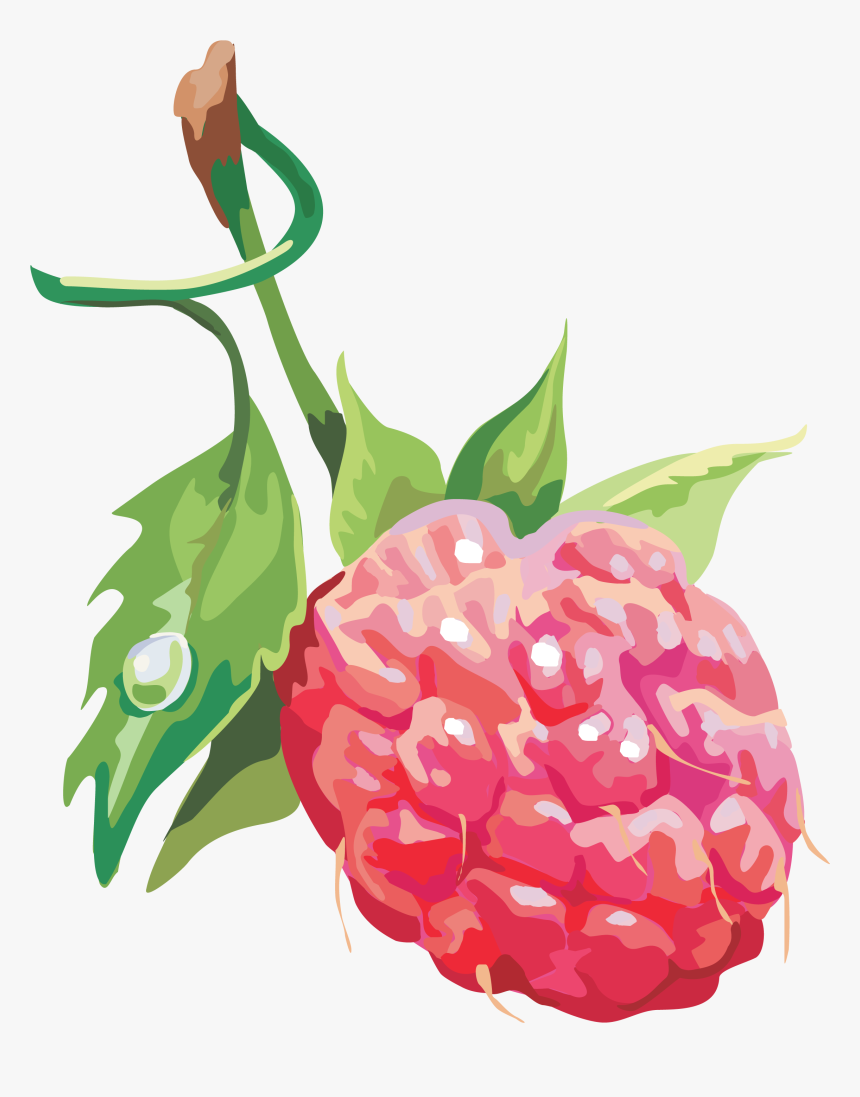 Raspberry Png, Transparent Png , Transparent Png Image - PNGitem