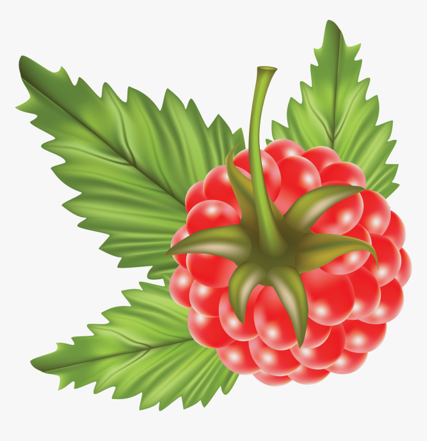 Download For Free Raspberry Icon Png, Transparent Png , Transparent Png ...