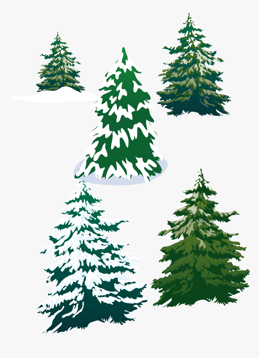 Snowy Pine Tree Vector
