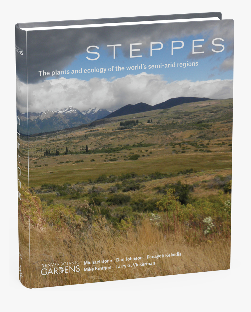 Transparent Grassy Hill Png, Png Download , Transparent Png Image - PNGitem