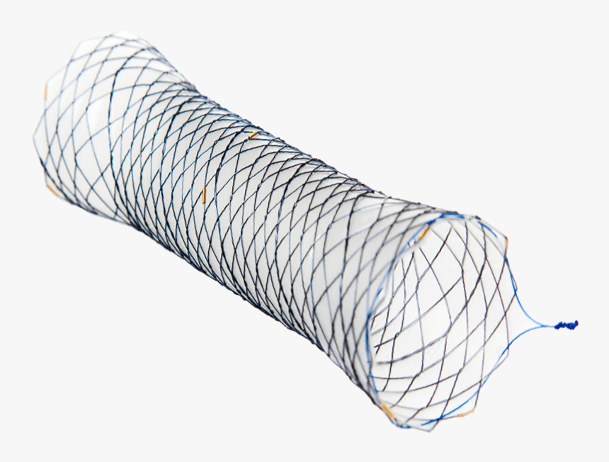 Lasso Png, Transparent Png , Transparent Png Image - PNGitem