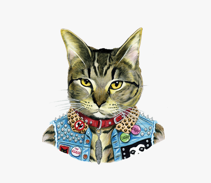 Punk Cat, HD Png Download , Transparent Png Image - PNGitem