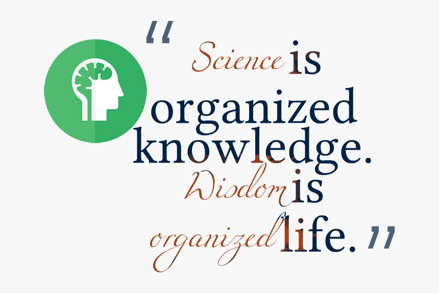 Knowledge Quotes Free Png Image - Calligraphy, Transparent Png ...