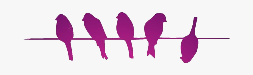 Birds On Wire Png Transparent Images - Dare To Be Different Birds On A ...