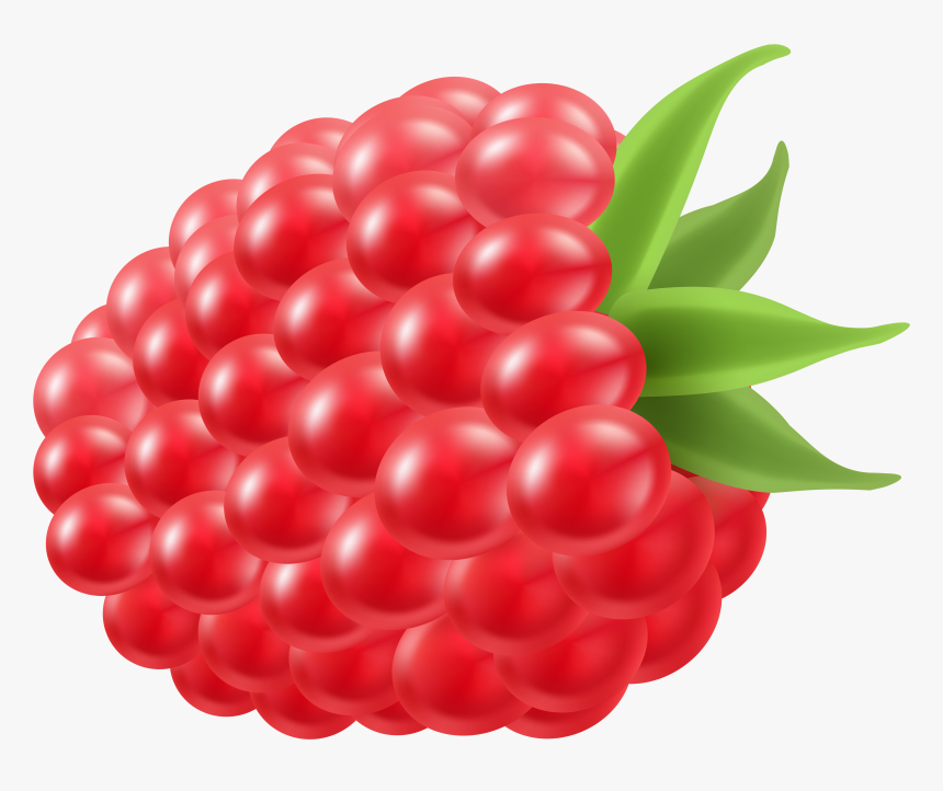 Fruit Clipart Raspberry - Transparent Background Clipart Raspberry, HD ...