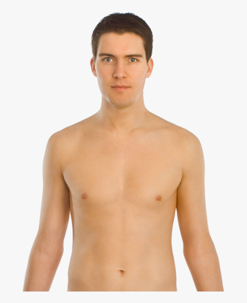Upper Body Front, HD Png Download , Transparent Png Image - PNGitem