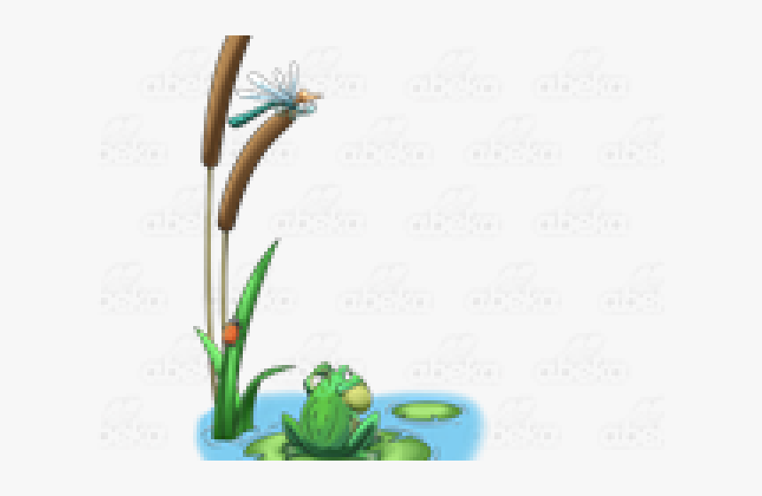 Transparent Frog In Pond Clipart - Toad, HD Png Download , Transparent ...