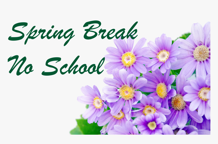 Spring Break - No School, HD Png Download , Transparent Png Image - PNGitem