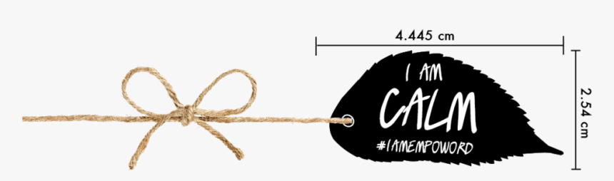 Thread, HD Png Download , Transparent Png Image - PNGitem