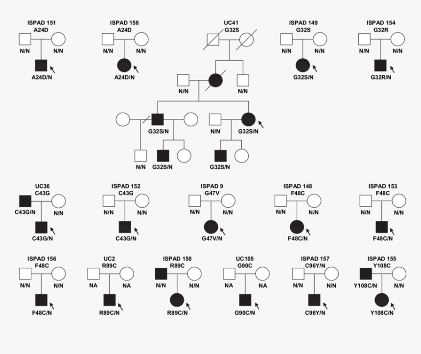 Diagram, HD Png Download , Transparent Png Image - PNGitem