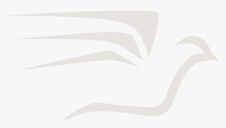 Dove Watermark - Illustration, HD Png Download , Transparent Png Image ...