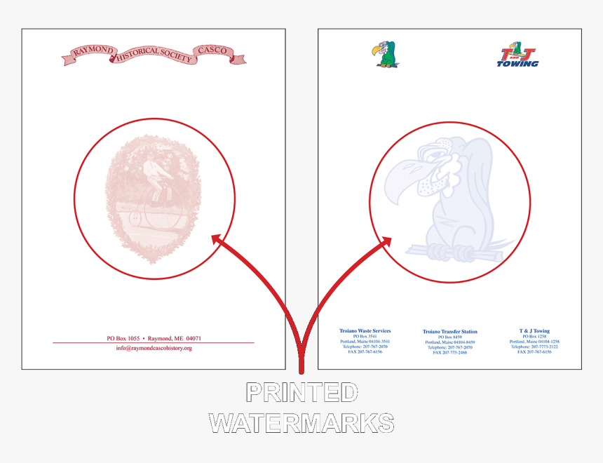 Letterhead Watermark, HD Png Download , Transparent Png Image - PNGitem