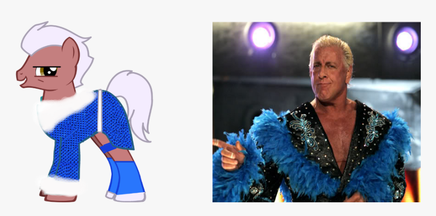 Ric Flair Royal Rumble Blue - Wwe Ric Flair, HD Png Download ...
