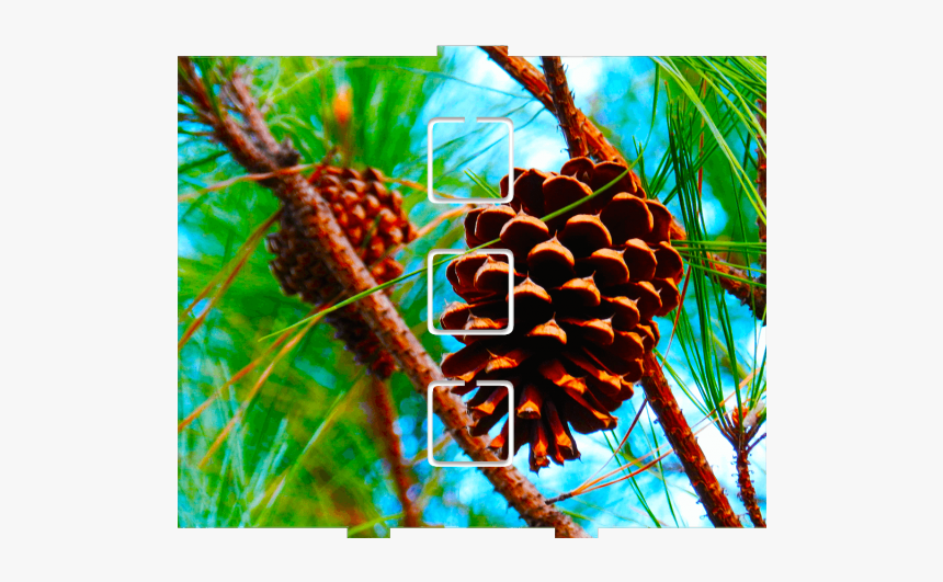 Quotes About Baguio City, HD Png Download , Transparent Png Image - PNGitem