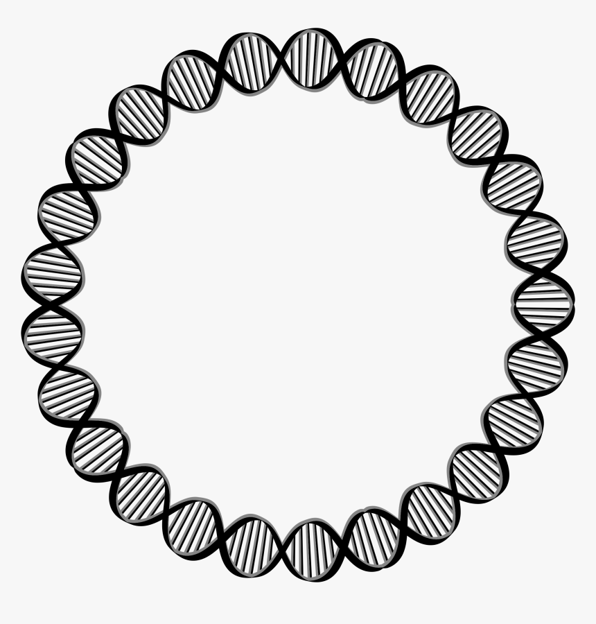 Circle Large Big Image - Dna Circle, HD Png Download , Transparent Png ...