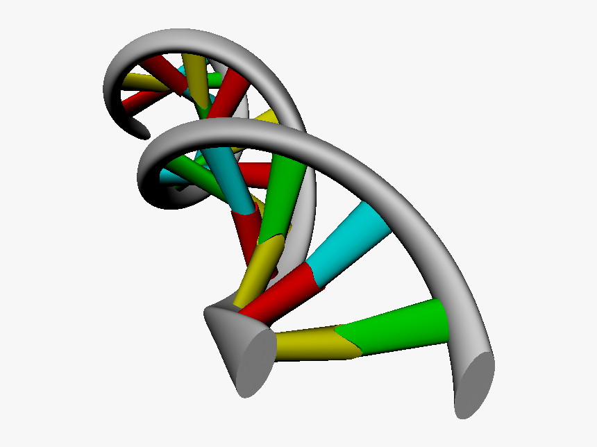3d Dna Strand Rendering - 3d Dna Png, Transparent Png , Transparent Png ...