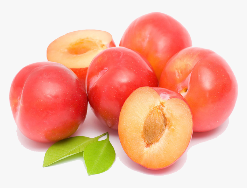 Prunus Sect. Prunus, HD Png Download , Transparent Png Image - PNGitem