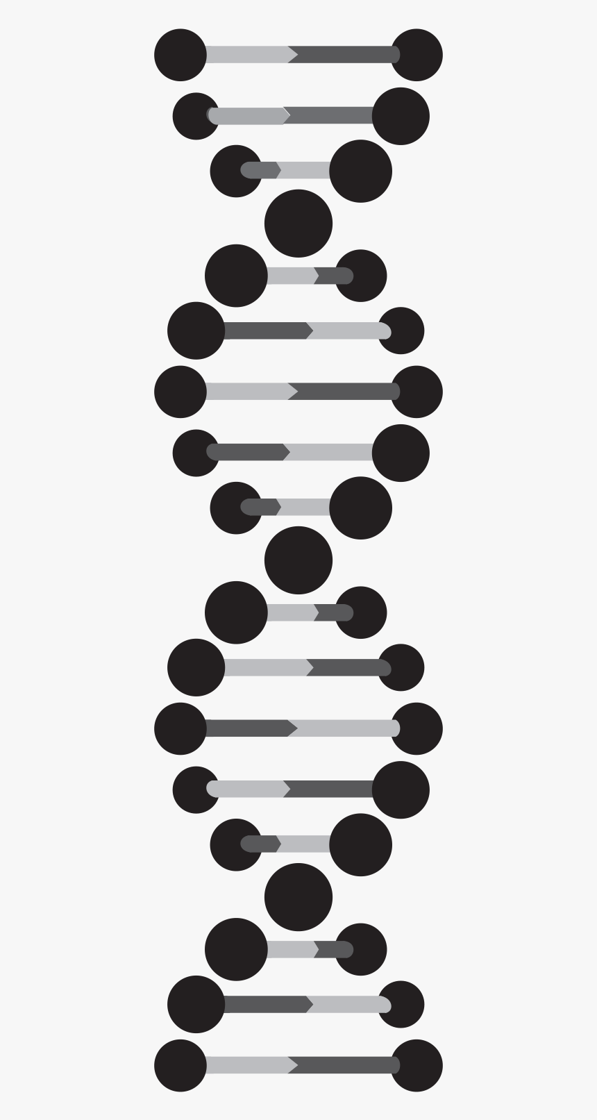 Simple Dna Strand Black And White