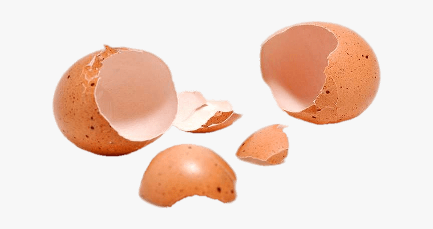 Two Cracked Eggshells - Eggshells Png, Transparent Png , Transparent ...