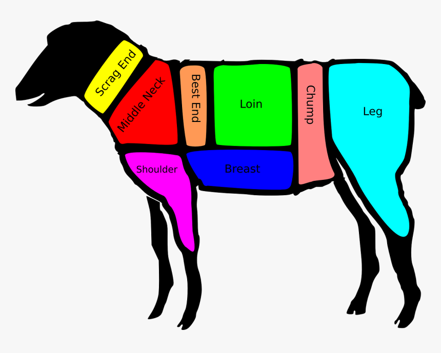 Primal Cuts Of Lamb, HD Png Download , Transparent Png Image - PNGitem