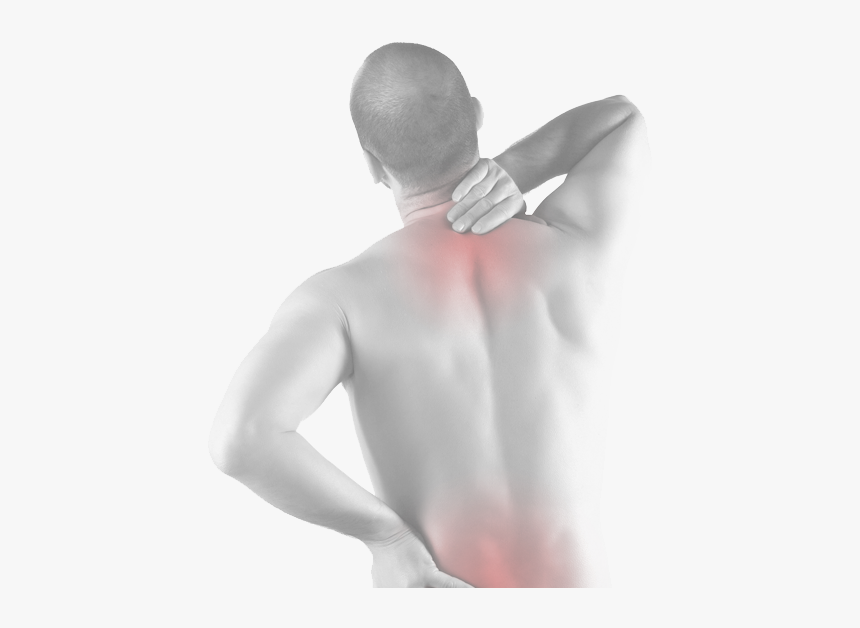 Back Pain, HD Png Download , Transparent Png Image - PNGitem