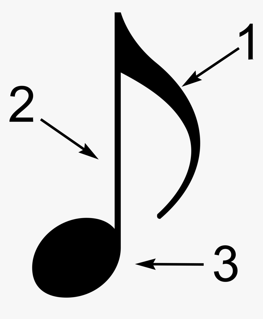 The Three Parts Of A Music Note Are The Head, The Stem, - Parts Of The ...
