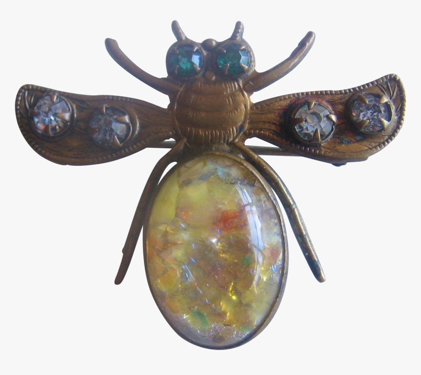 Transparent Flying Bug Png - Amber, Png Download , Transparent Png ...