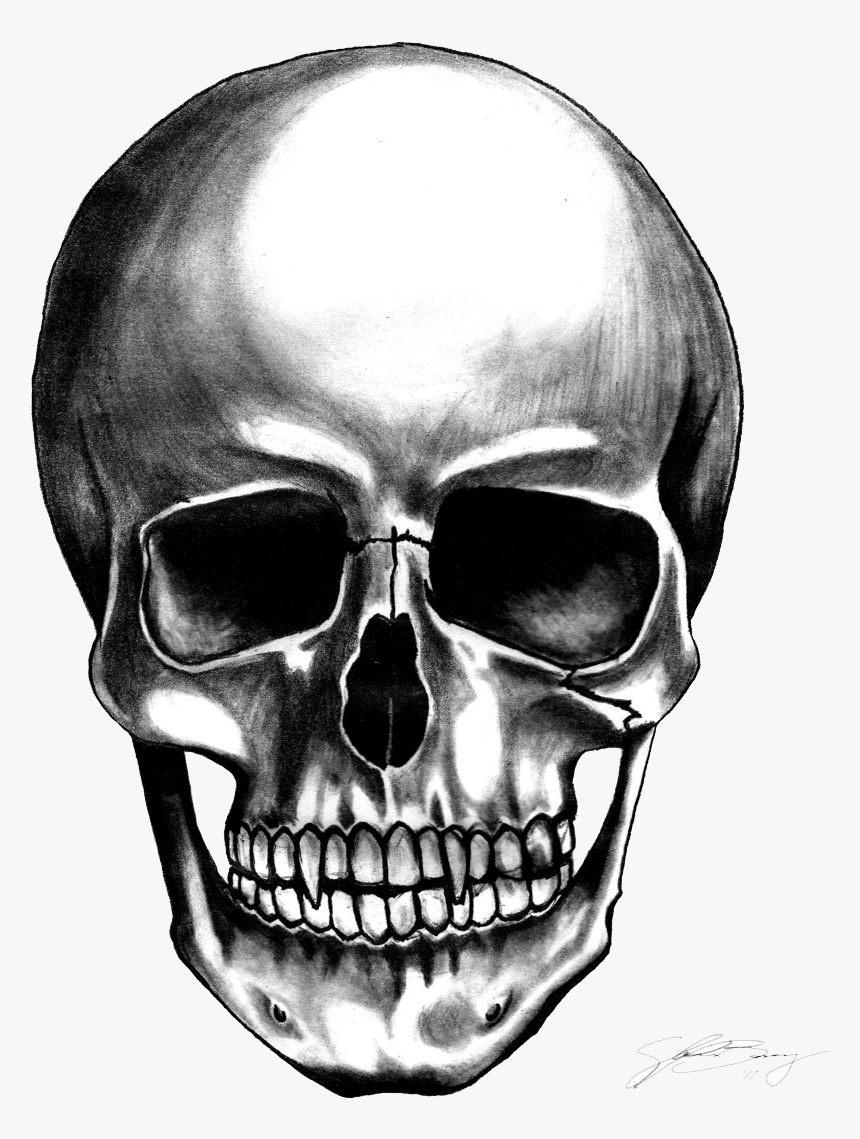 Skull Transparent Png, Png Download , Transparent Png Image - PNGitem