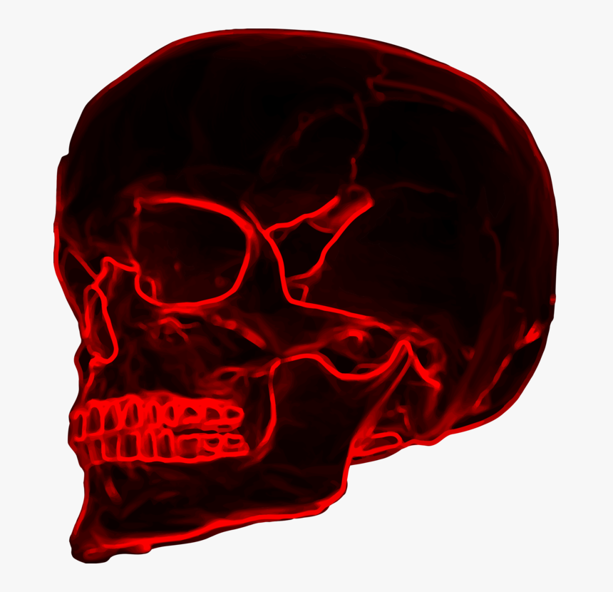 Jaw,bone,red, HD Png Download , Transparent Png Image - PNGitem