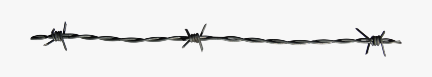 Barbed Wire, HD Png Download , Transparent Png Image - PNGitem