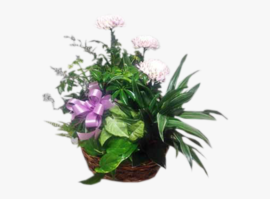 Pink Quill, HD Png Download , Transparent Png Image - PNGitem