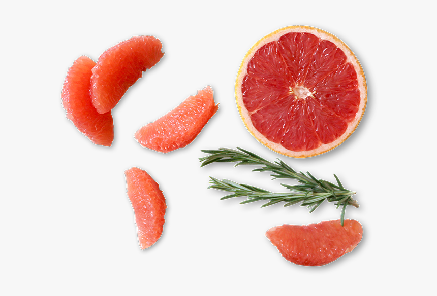 Transparent Grapefruit Png - Grapefruit, Png Download , Transparent Png ...