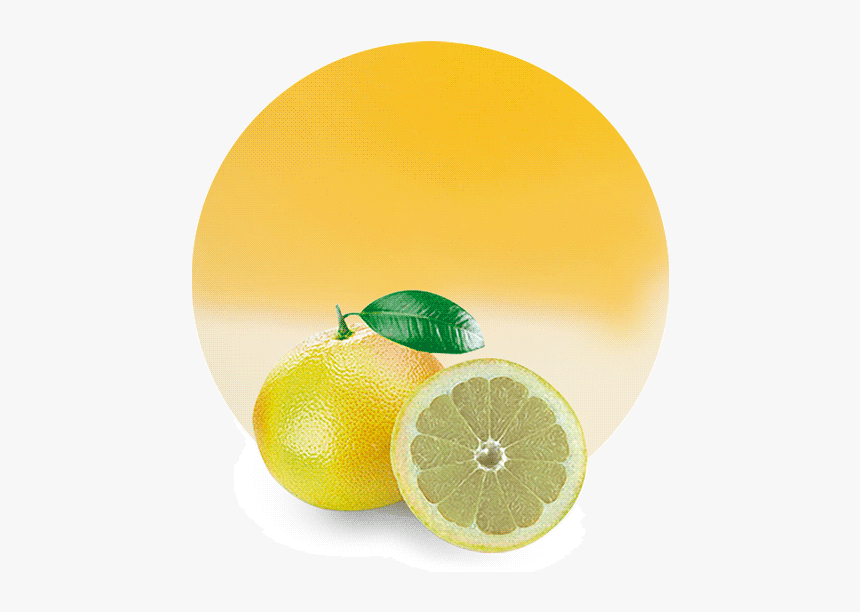 Lemon And White Grapefruit Look Alike, HD Png Download , Transparent ...