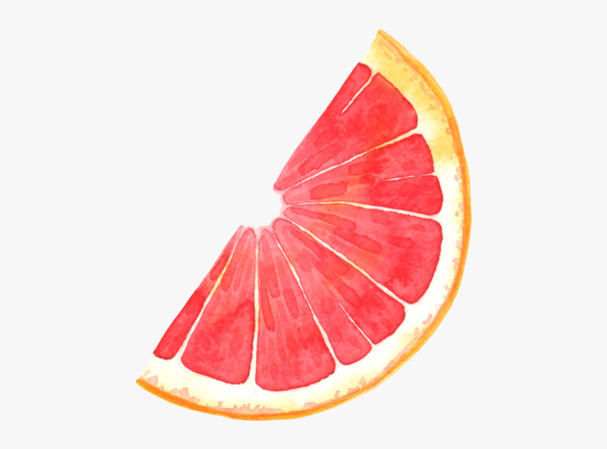 Clip Art Pomelo Blood Orange Illustration - Grapefruit Cartoon Png ...