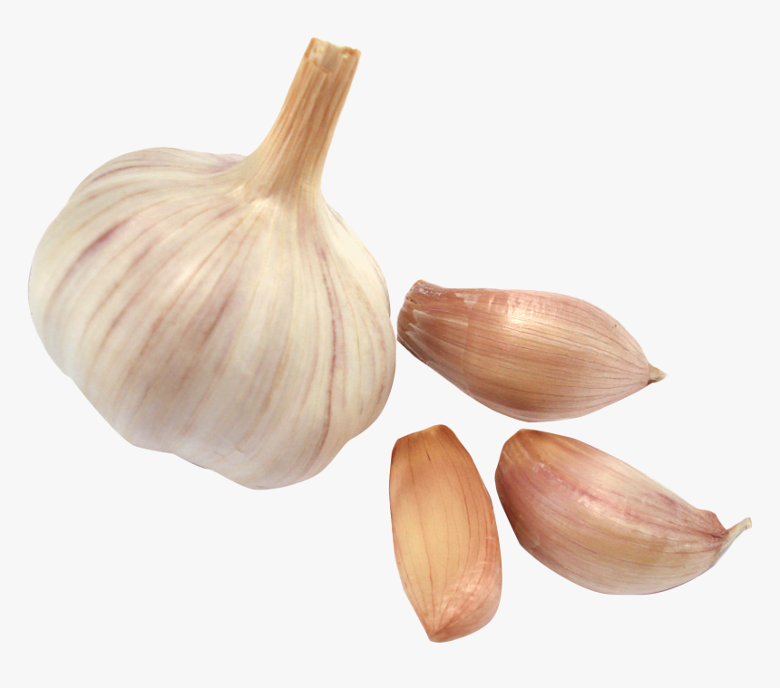 Garlic Png - Transparent Background Png Png Cloves Garlic, Png Download ...