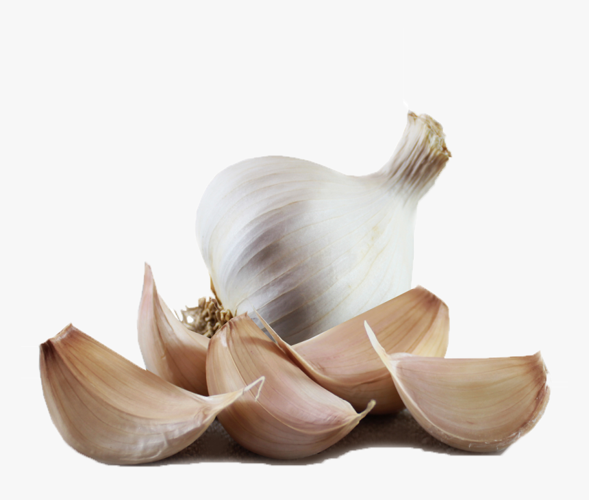 Garlic Png Hd Images - Solent Wight Garlic Cloves, Transparent Png ...