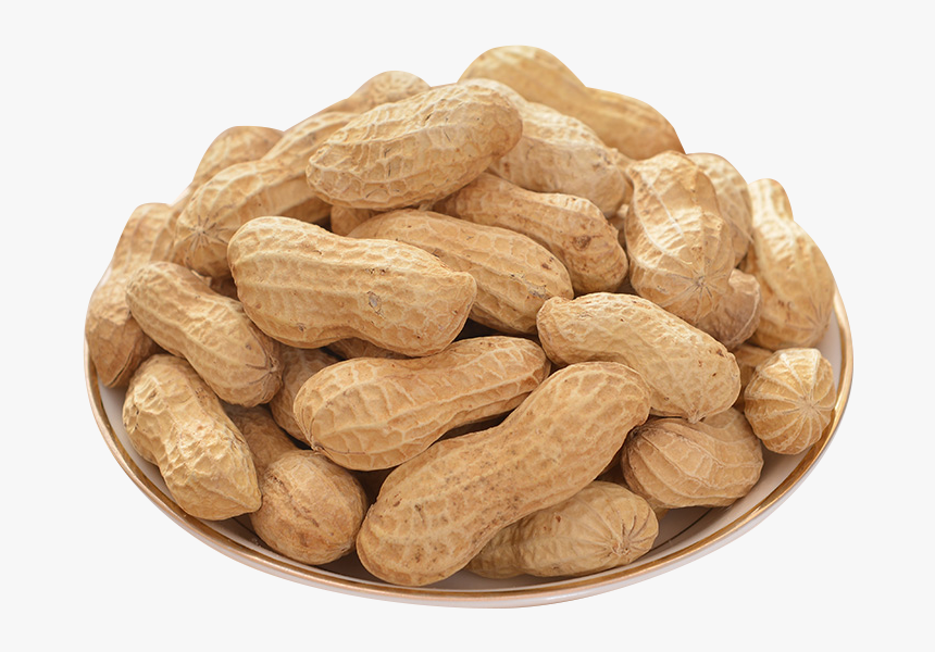 Peanut Png - Transparent Background Peanuts Png, Png Download ...