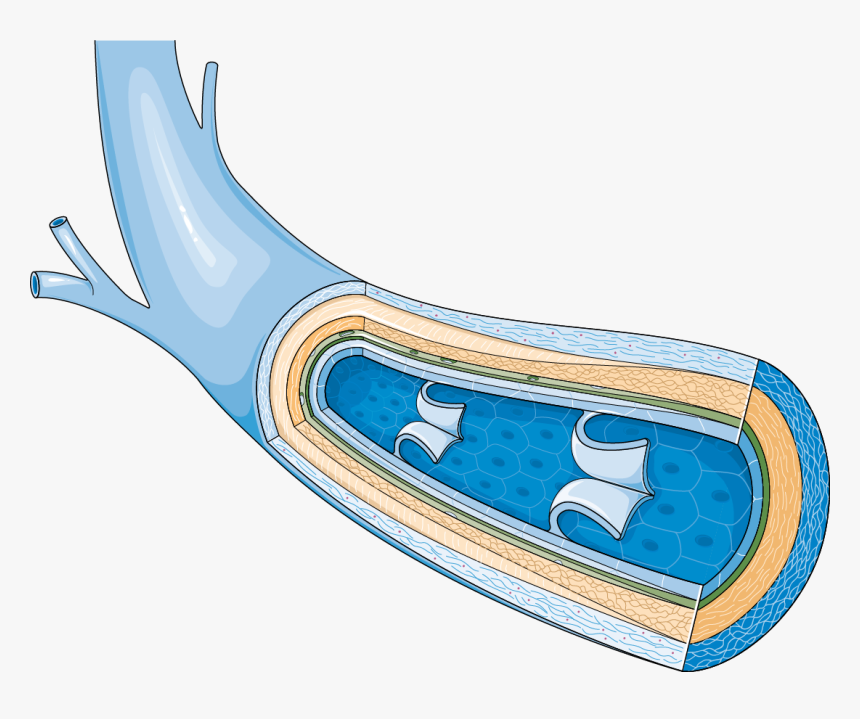Anger Symbol On - Blue Vein Clipart, HD Png Download , Transparent Png ...