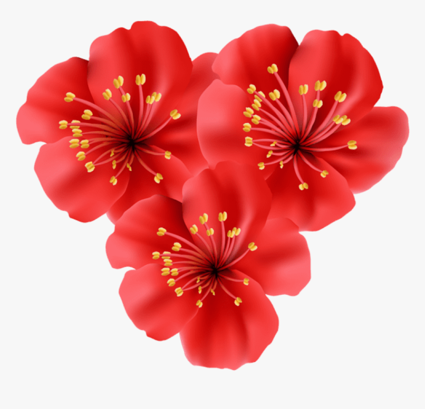 Tropical Island Flowers Png - Flower Images In Png Format, Transparent ...