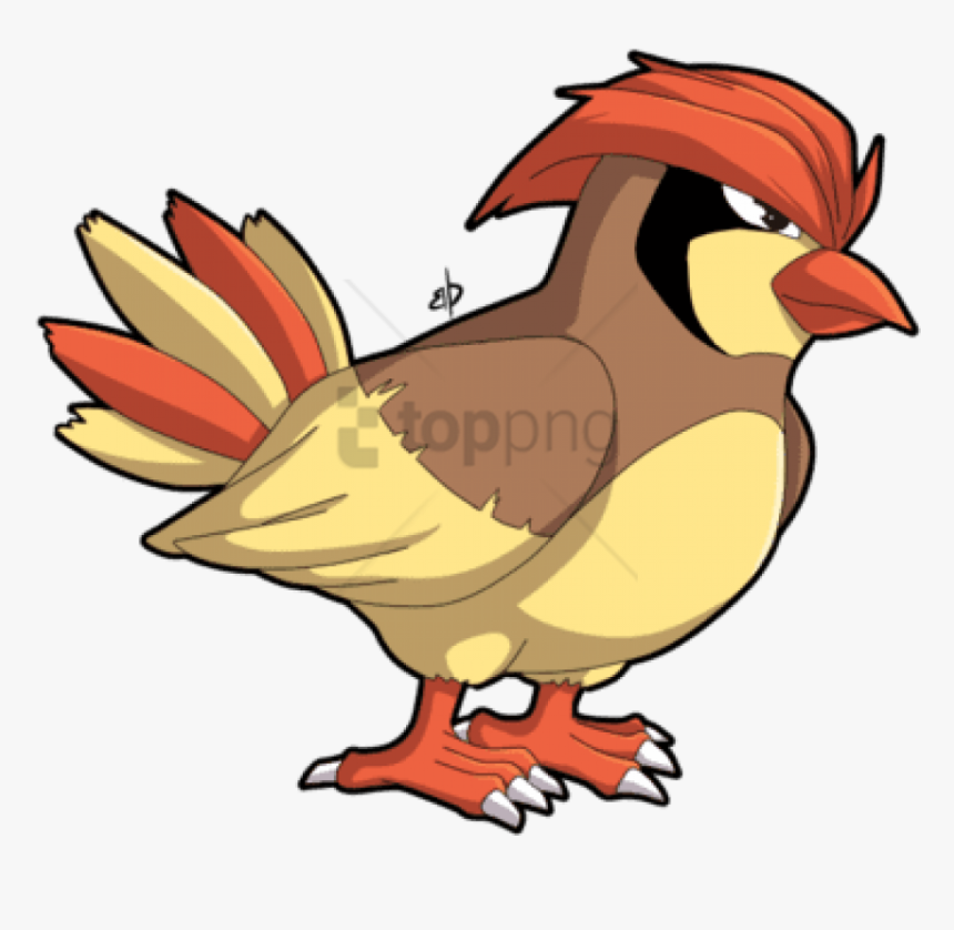 Smosh Pokemon Pidgey - Pokemon Bird With Hair, HD Png Download ...