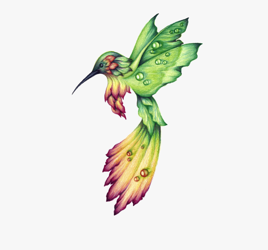 Hummingbird Drawings - Cool Drawings Of Hummingbirds, HD Png Download ...
