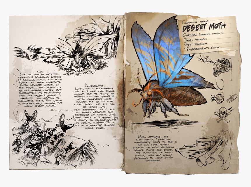 Ark Survival Evolved Animais, HD Png Download , Transparent Png Image ...