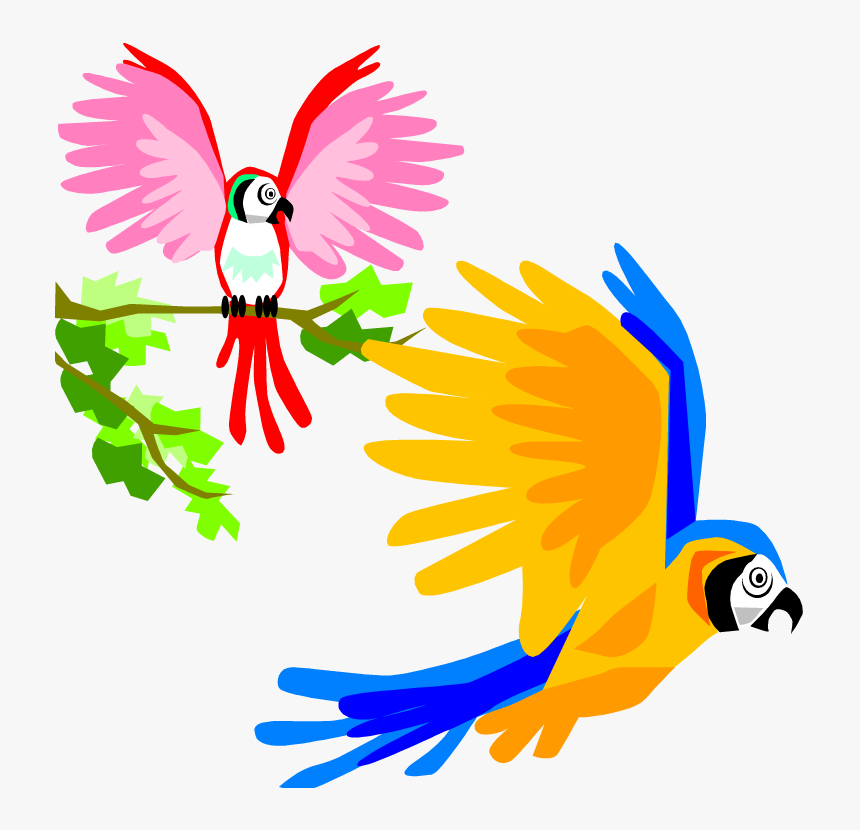Flying Parrot Clip Art