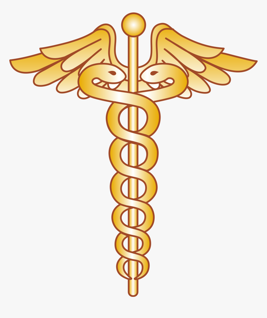 Doctor Snake Logo