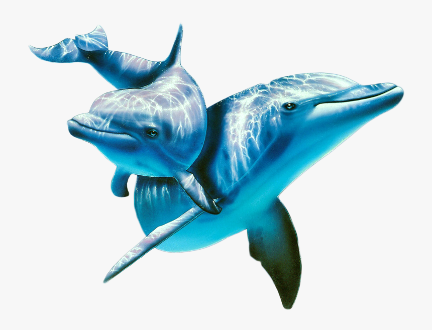 Transparent Dolphin Png - Dolphin Underwater Png, Png Download ...