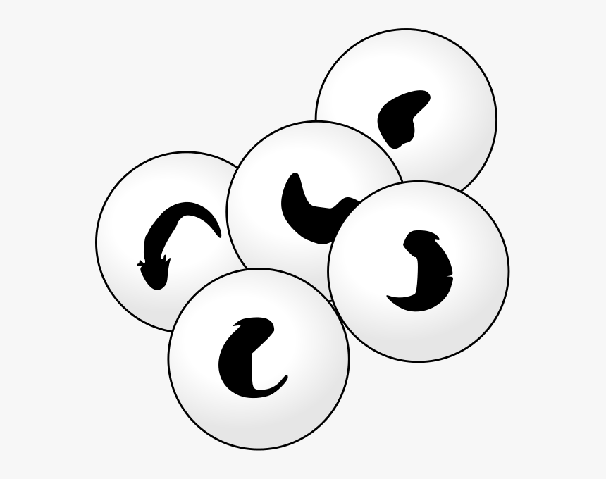 Egg Frog Clip Art, HD Png Download , Transparent Png Image - PNGitem