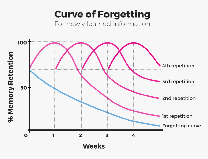 Memory Retention Graph, HD Png Download , Transparent Png Image - PNGitem