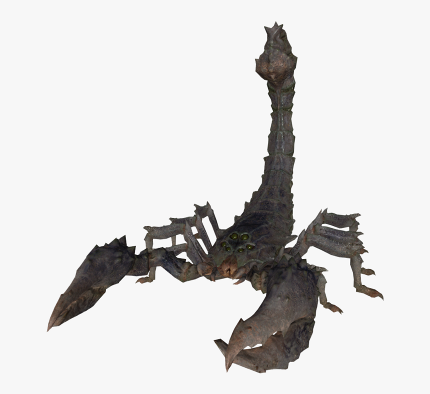 Fallout 4 Radscorpion Hunter, HD Png Download , Transparent Png Image ...