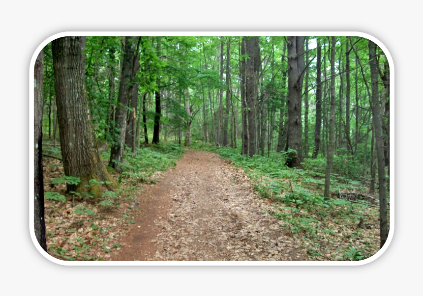Dirt Road Png, Transparent Png , Transparent Png Image - PNGitem
