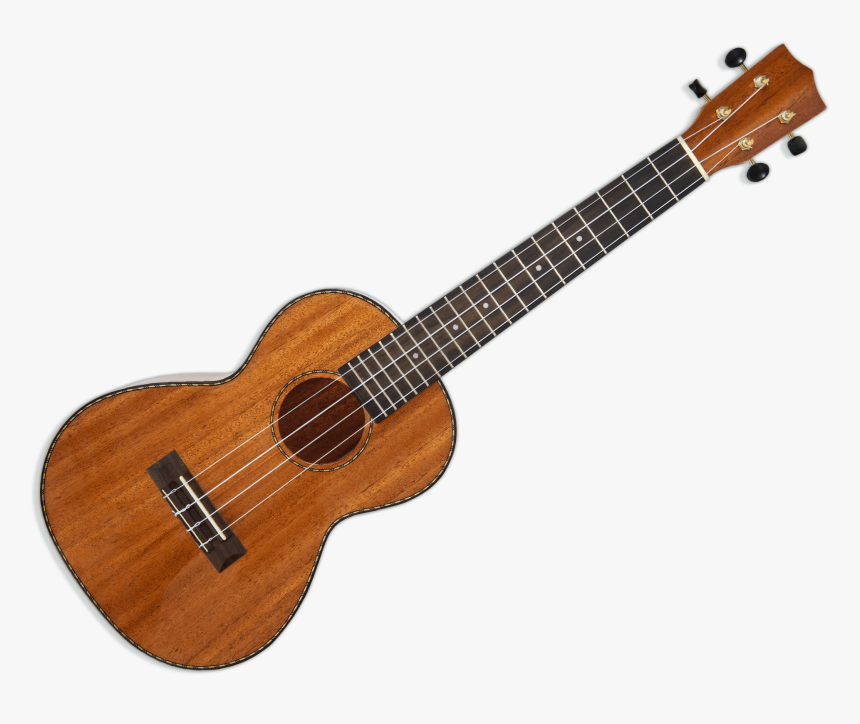 Ukulele Vector Oval - Ibanez Concert Ukulele, HD Png Download ...